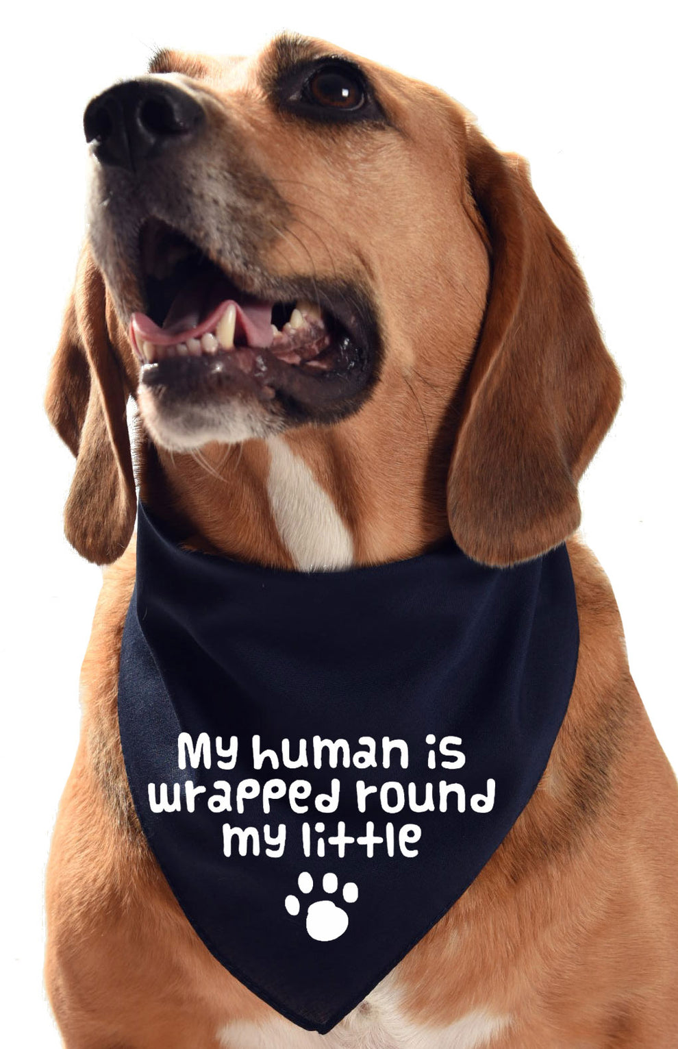 My human is wrapped round my little paw dog bandana – The Prancing Dog