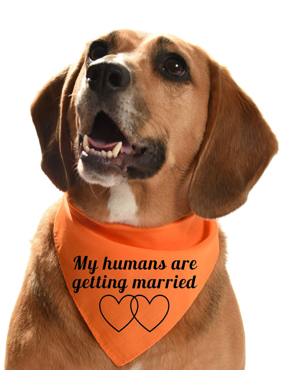 Celebration Dog Bandanas – The Prancing Dog